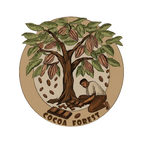 Cocoa Forest